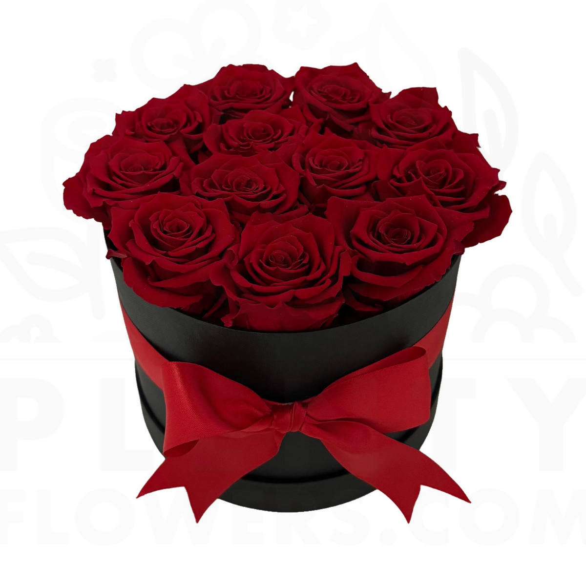 Wholesale Preserved Roses — Plenty Flowers
