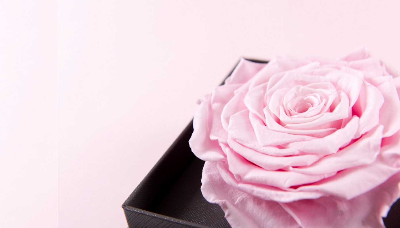 Plenty Flowers - Wholesale Flowers and Supplies