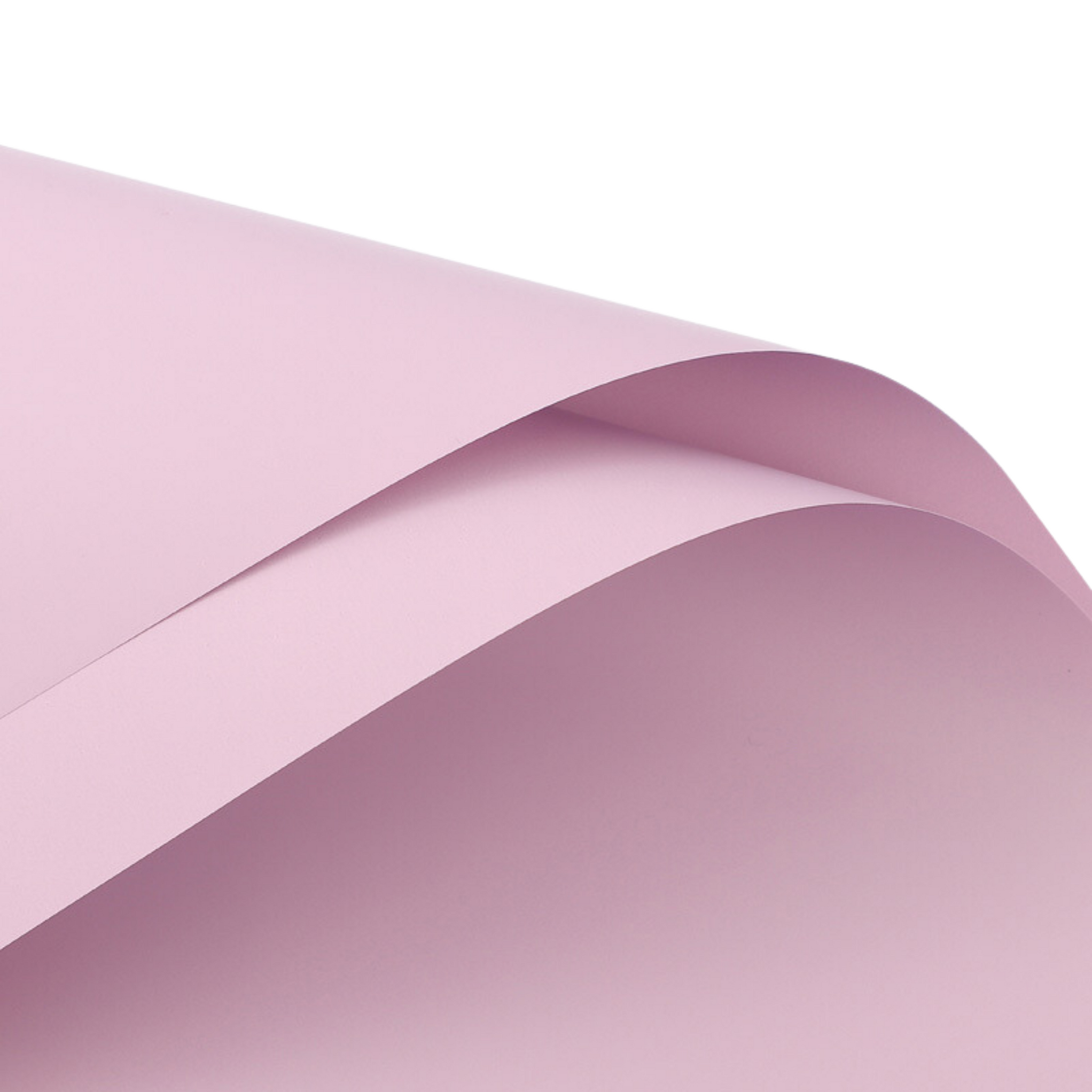 Matte Floral Wrapping Paper (LAVENDER) — Plenty Flowers