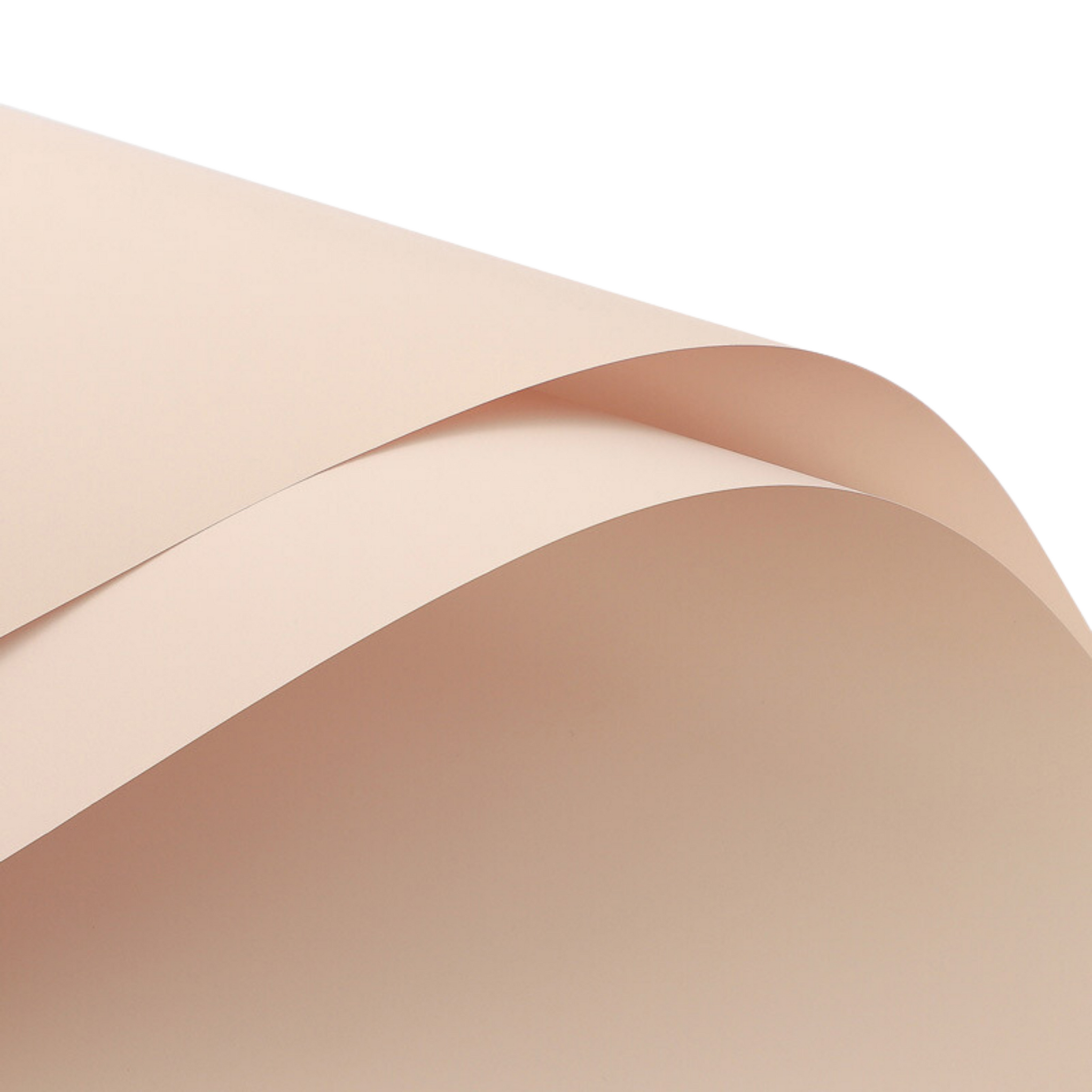 Matte Floral Wrapping Paper (BEIGE) — Plenty Flowers