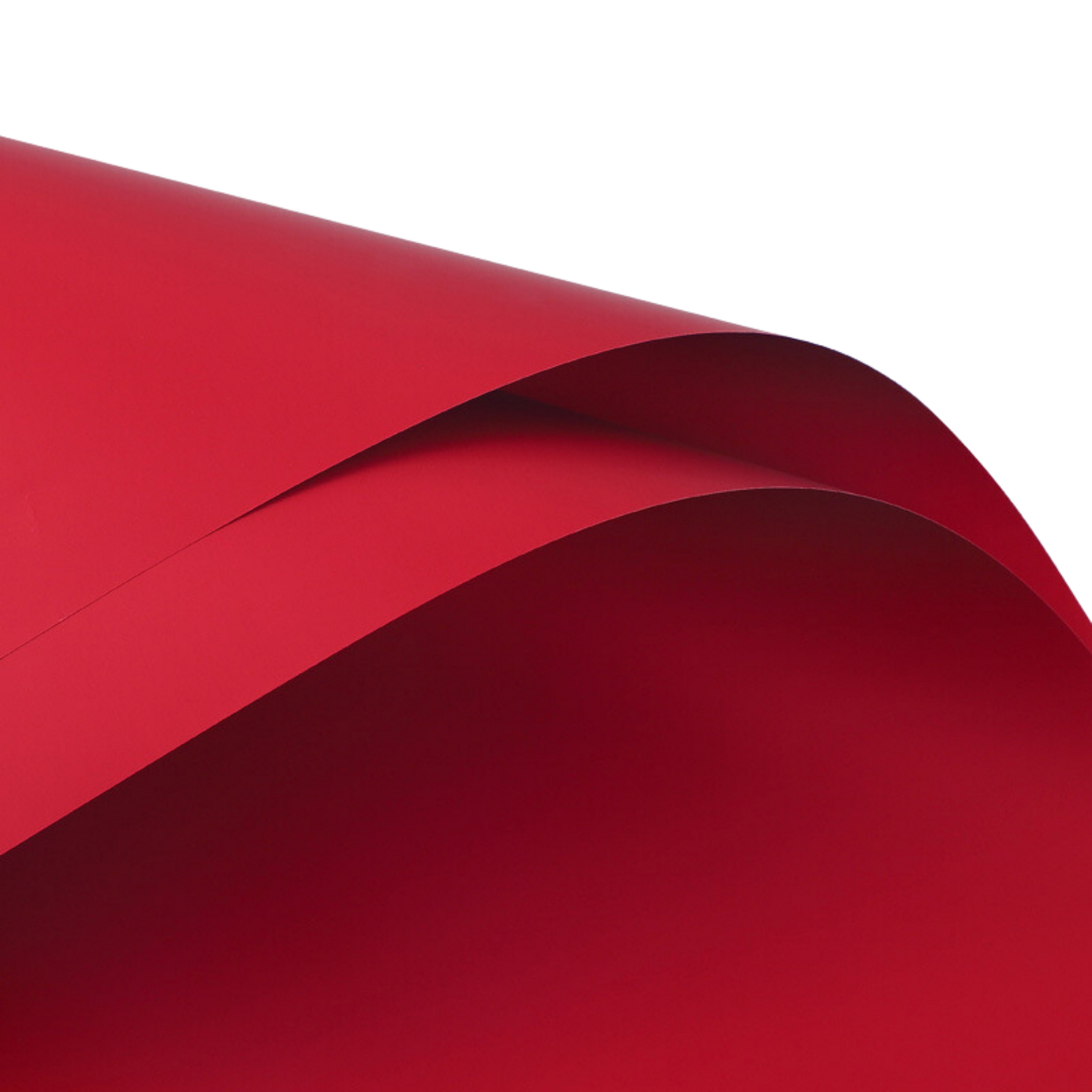 Matte Floral Wrapping Paper (RED) — Plenty Flowers