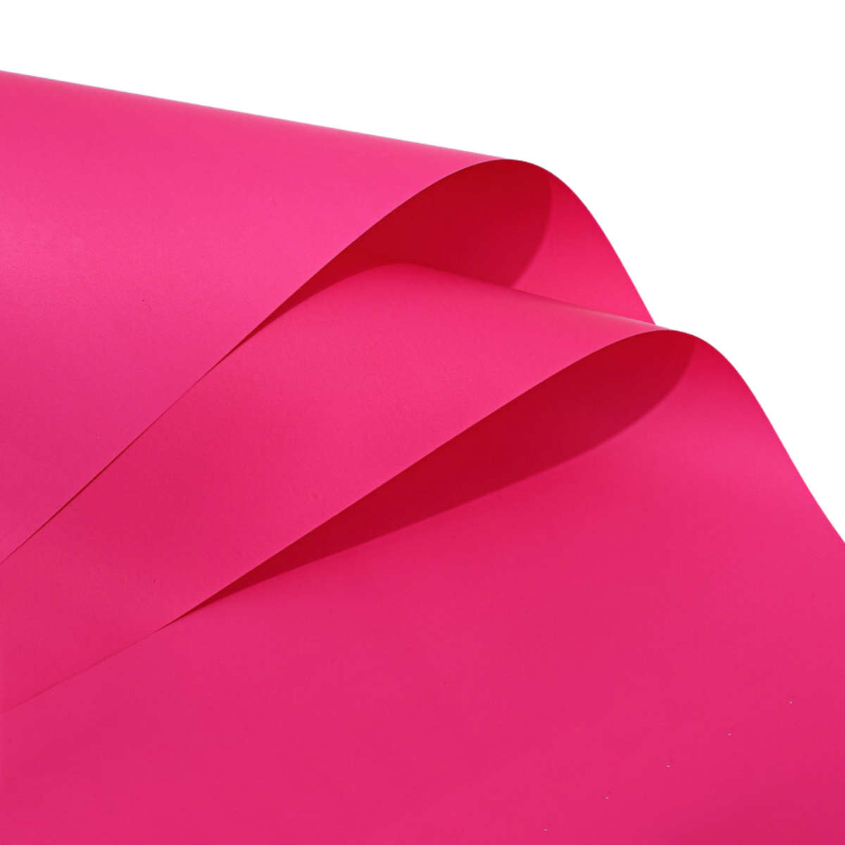 Matte Floral Wrapping Paper (HOT PINK) — Plenty Flowers