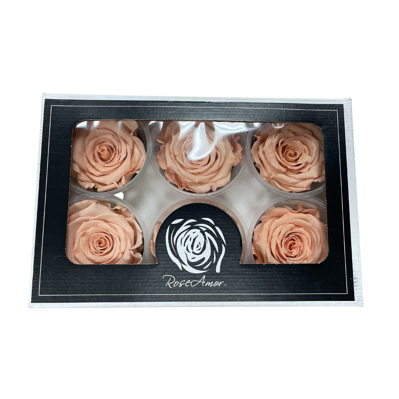 Wholesale Preserved Roses — Plenty Flowers